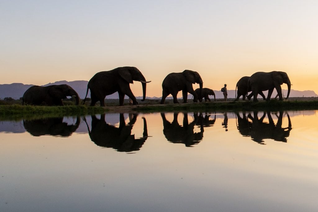 Khanyisa's Big Third Birthday with HERD! | Jabulani blog