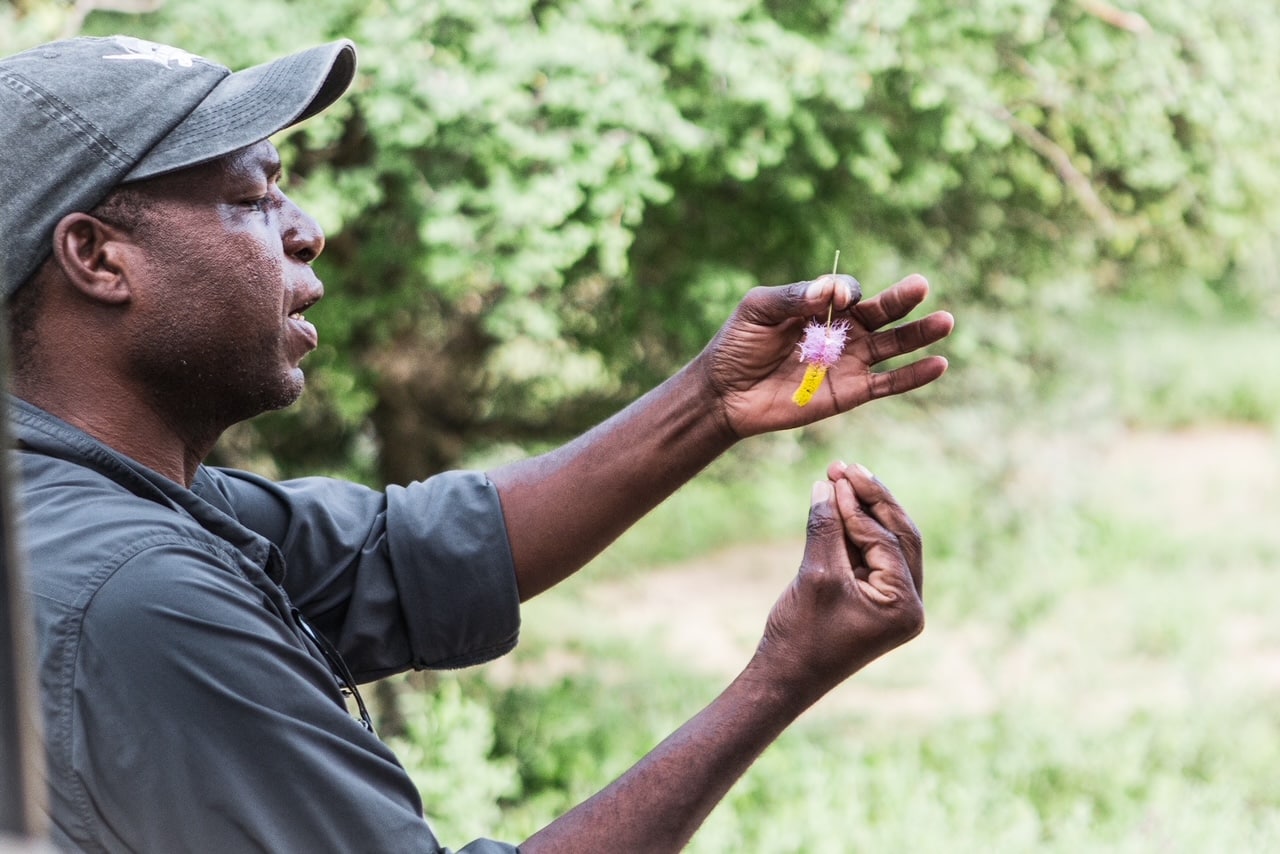 A Jabulani Secrets Q&A with Ranger Jeffery | Jabulani Blog