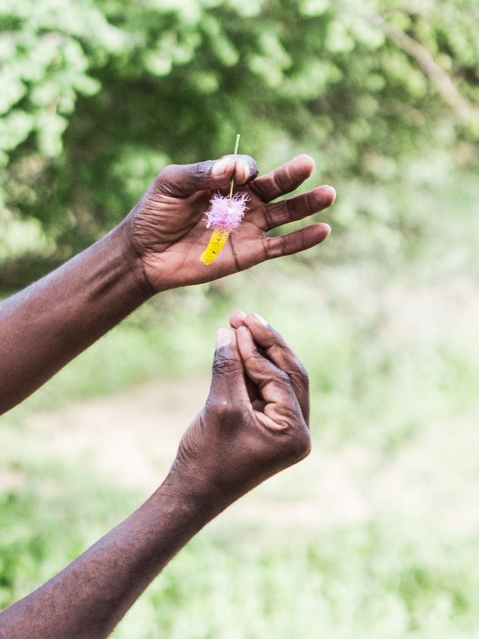 A Jabulani Secrets Q&A with Ranger Jeffery | Jabulani Blog